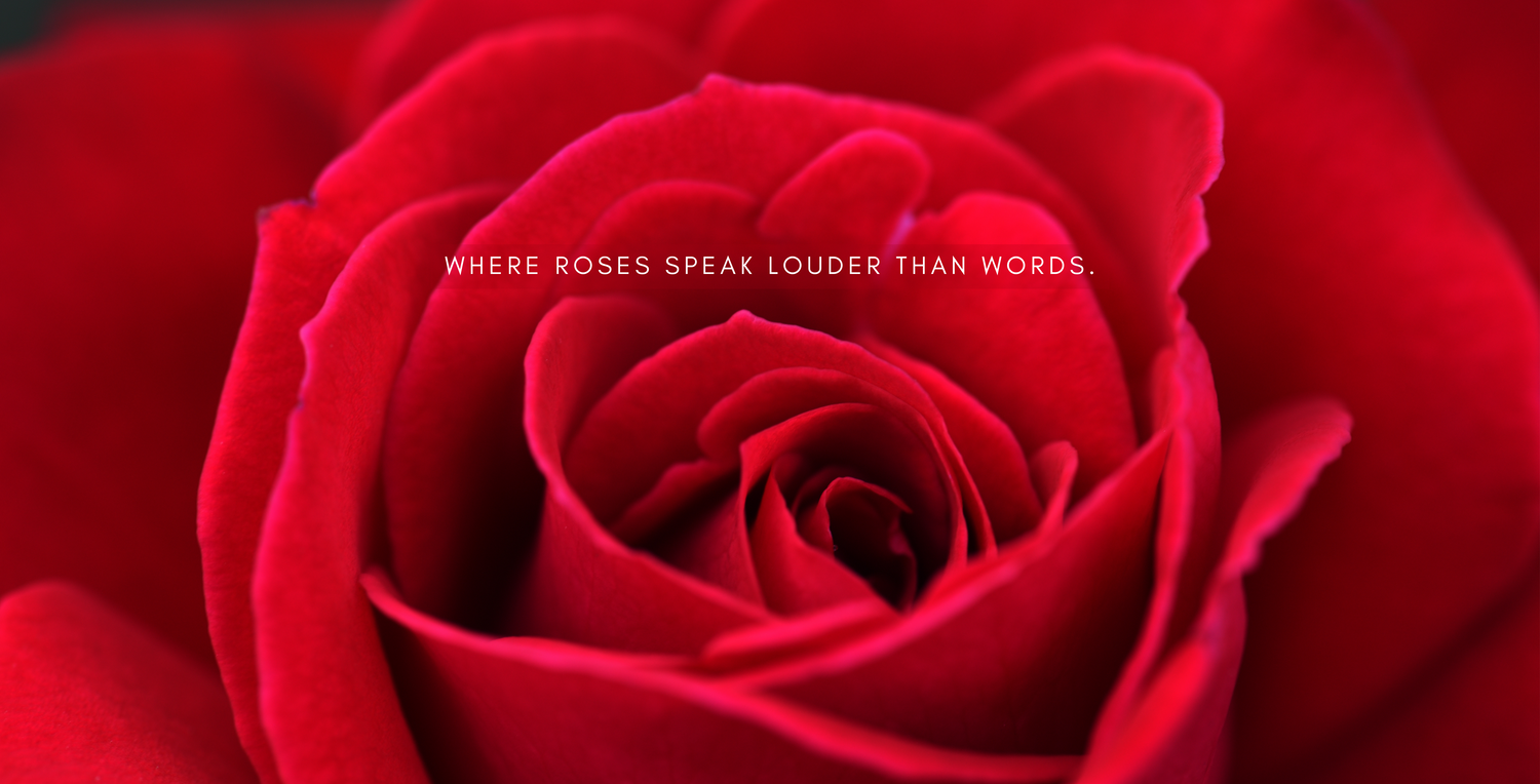 Creating Gift Boxes, Hampers and Arrangements with premium flowers ...